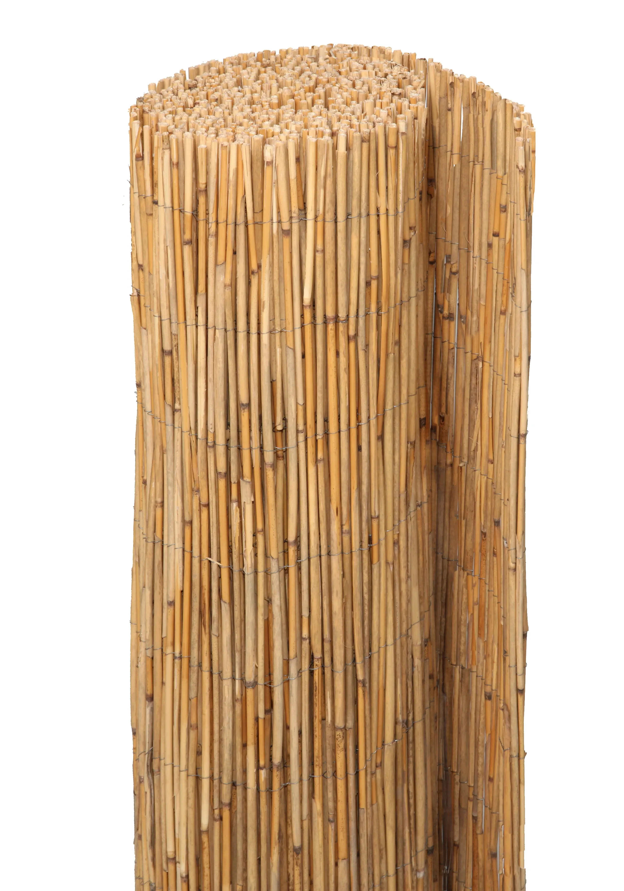 Floraworld kaufen bei OBI